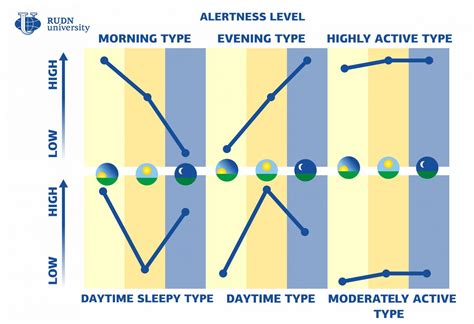 There Are Human Chronotypes Not Just Morning Larks And Night Owls Study Says ScienceAlert