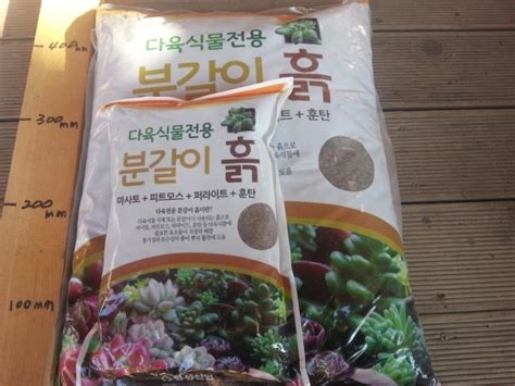 한성 다육식물전용대용량 분갈이흙 10l단독배송상품분갈이흙배양토퍼라이트마사토피트모스 배양토흙자갈돌모래바크 엑스플랜트
