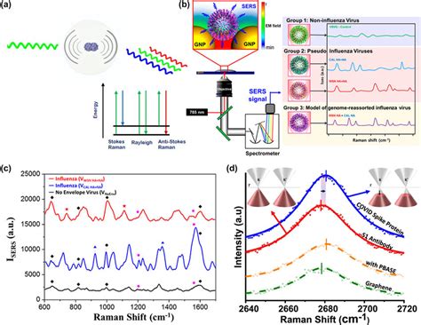 Illustration of the Surface Enhanced Raman Scattering (SERS) technique ...