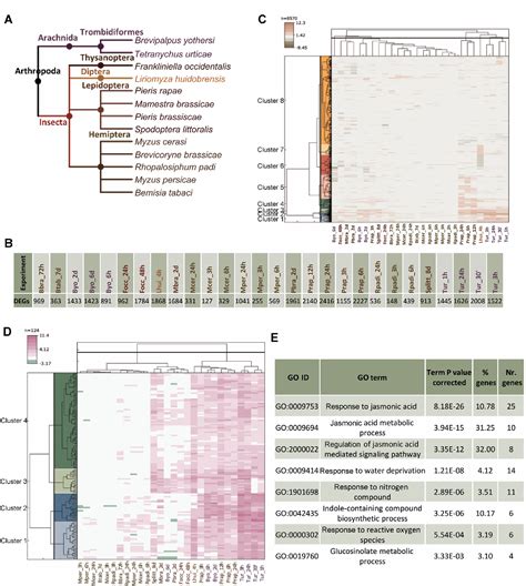 Figure 3 From Comparative Transcriptomics Reveals Hidden Issues In The Plant Response To