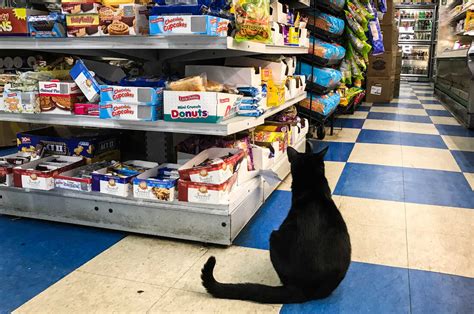 New York City Bodegas And The Generations Who Love Them Code Switch Npr