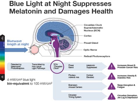 Whc Installs State Of The Art Circadian Led Lighting System Fatigue