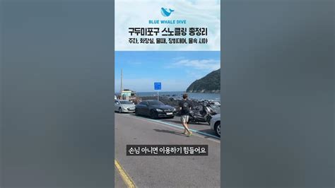 제주 스노클링 구두미포구 총정리 제주스노클링 서귀포스노클링 Youtube
