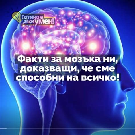 Факти за мозъка ни доказващи че сме способни на всичко Невероятни факти за човешкият мозък