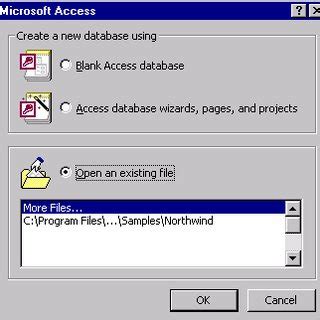 PDF MS ACCESS Lab Manual