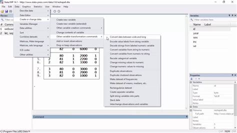 Data Management How To Reshape Data From Long Format To Wide Format