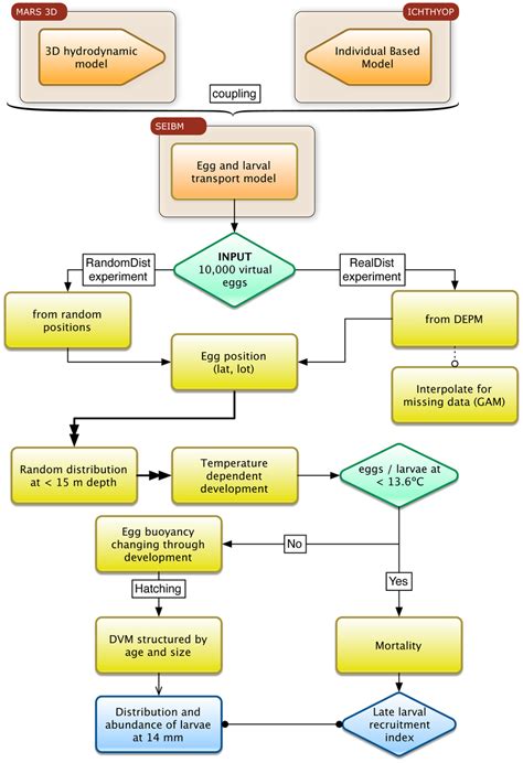 Conceptual Diagram Of The SEIBM Input Data Type Of Experiments Download Scientific Diagram