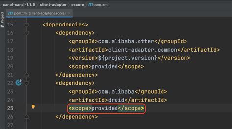 Canal Adapter Alibaba Druid Pool DruidDataSource Cannot Be Cast To Alibaba Druid Pool