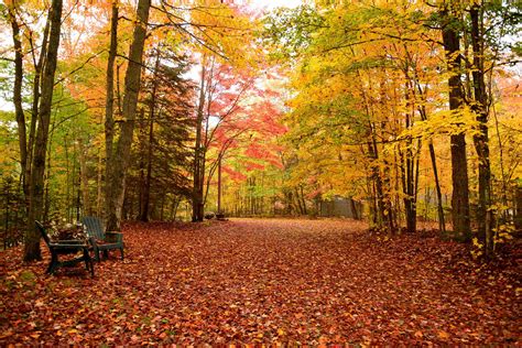 Осенний парк и дорога · бесплатная фотография от 3217864 картинки и обои на рабочий стол