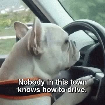 Funny Road Rage S Tenor