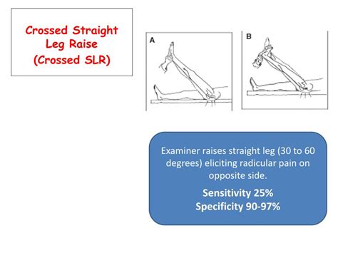Ppt Physical Examination In Occupational Medicine Powerpoint