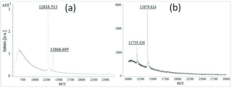 Maldi Tof Analysis Of Self Organized Peptide Biomaterials A Spectra Download Scientific