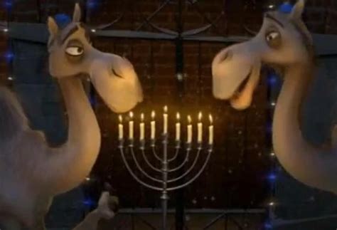 Bactrian Camel Habitat Madagascar Wiki Fandom