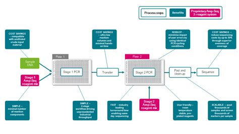 Amp Seq Workflow Lgc Biosearch Technologies