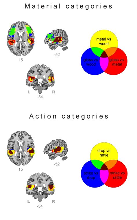 Example Of How Task Demands Modulate Perceptual Representation Download Scientific Diagram