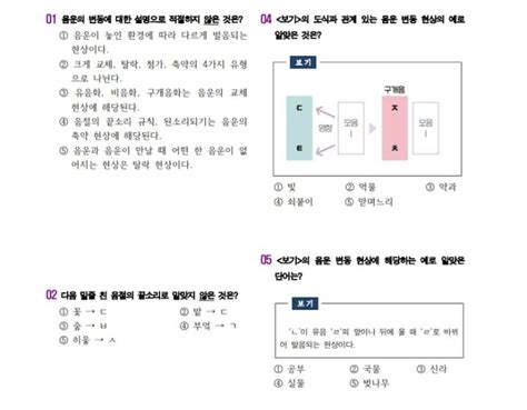 꾸그 국어문법 입문 개념부터 문제풀이까지