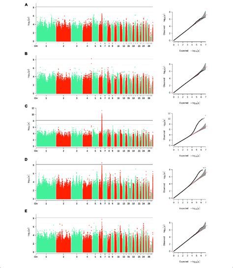 manhattan left and quantile quantile q q right plots of