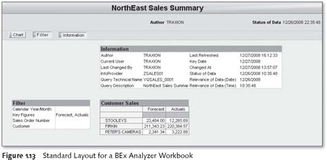 understanding and using sap bex reporting tools