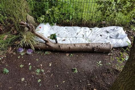 Devastating Photos Reveal Sex Worker S Home In Woods Next To Primary Babe Irish Mirror