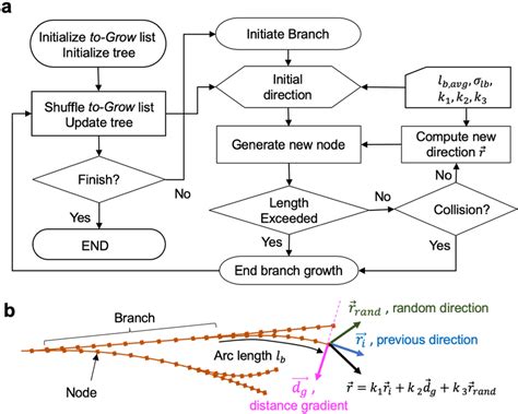 Fractal Generation Algorithm A Flowchart Defining The Growth Of The Download Scientific