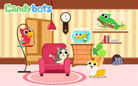 Candybots Animals Sounds And Name 🐱 App On Amazon Appstore