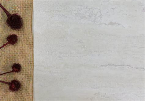 Holiday Border Along The Left Side With Copy Space Stock Image Image Of December Evergreen