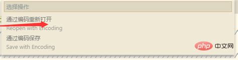 How To Solve The Problem Of Garbled Characters When Opening Gb2312