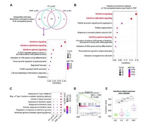 A Venn Diagram Of Enriched Reactome Pathways Of Upregulated Genes In Download Scientific