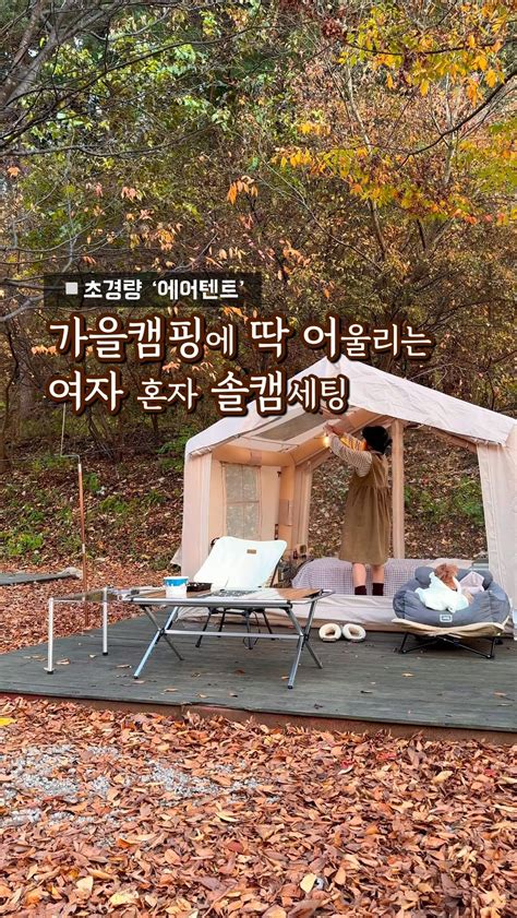 집 밖의 잎새🌿 솔캠 가서 내 사진 남기기📷 서커스tc빅 과 함께한 벌써 2주전의 캠핑이야요 ㅋㅋ 저는 갑작스러운