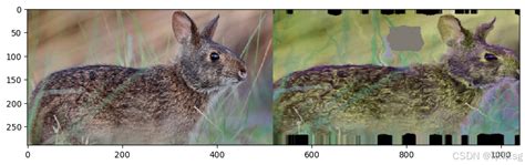 《深入浅出pytorch》学习笔记——第六章：pytorch进阶训练技巧timm 训练调参 Csdn博客