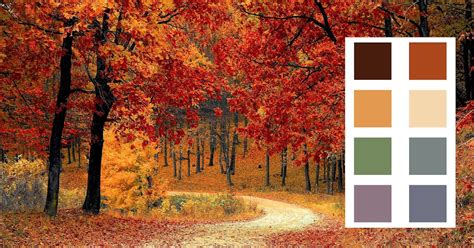 How To Generate Color Palettes From Images In Gimp