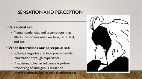 Sensation Perception 1
