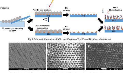 Nanosphere Lithography Nsl On Au Nanopatterned Electrodes For Electrochemical Dna Detection