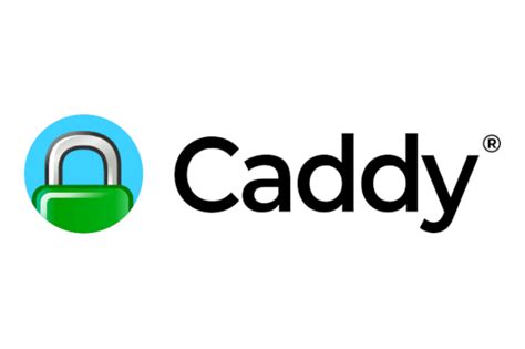 Using Caddy For Automatic Ssl Certificates With Cloudflare Roelof Jan Elsinga