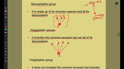 Evolution Phylogenetic Trees Monophyletic Group Paraphyletic Group Polyphyletic Group
