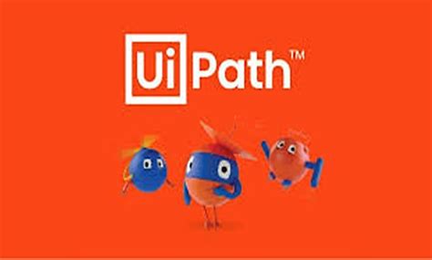 develop uipath rpa solutions custom python scripts ocr web excel automation by bhargavj8 fiverr