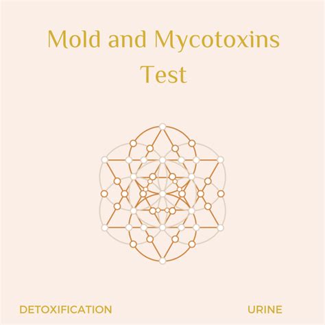 Lab Tests