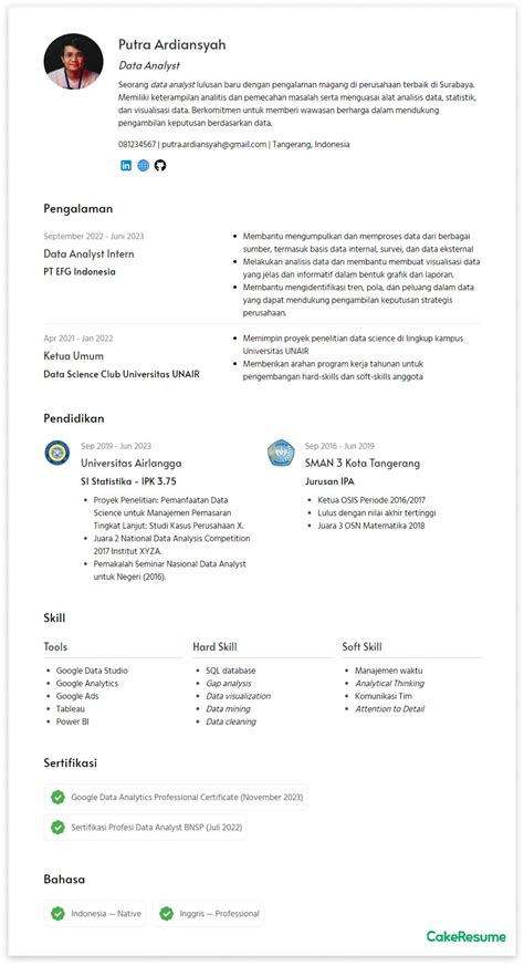 Contoh Cv Data Analyst Profesional Yang Dilirik Hrd Cake