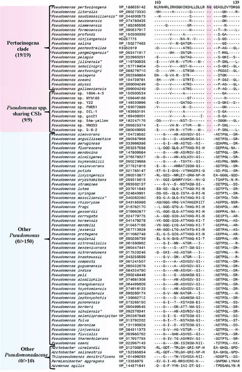 Partial Sequence Alignment Of The Flagellar Flgn Protein Showing A Two