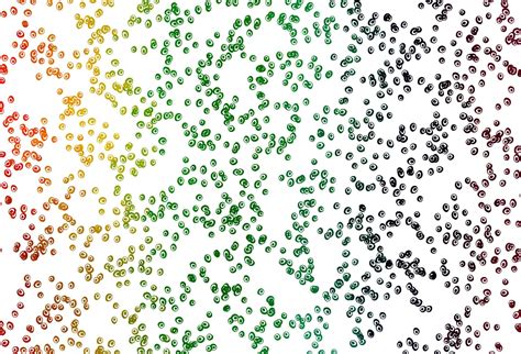 Light Multicolor Rainbow Vector Texture With Disks 12239632 Vector