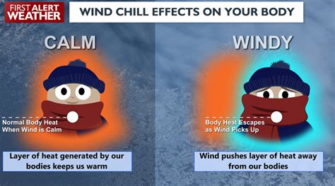 How Do Wind Chill Affect Temperature At Marjorie Lockett Blog