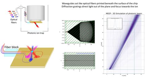 Research Niffenegger Lab