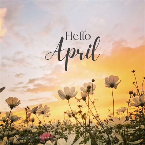 Hello April Still Life With Cracker Crumbs