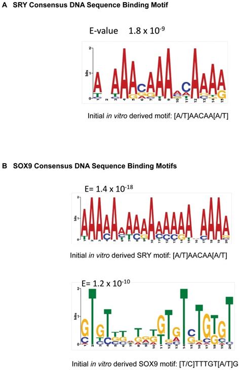 The Y Axis Indicates The Base And Size Performance For Binding And Download Scientific Diagram
