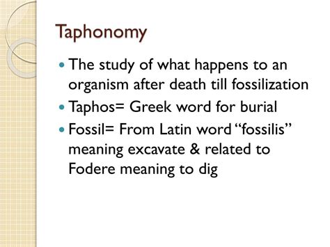 Ppt Taphonomy And Fossilization Powerpoint Presentation Free
