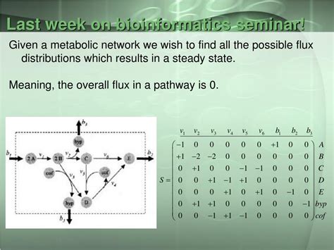 Ppt Computation Of Elementary Modes In Bioinformatics Seminar Powerpoint Presentation Id4254442
