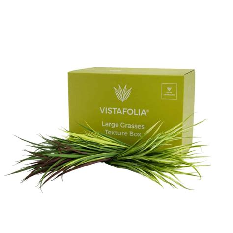 Large Grasses Texture Box Nu Eden
