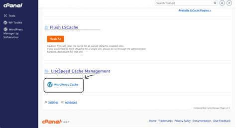 Easily Enable LiteSpeed In CPanel With These Easy Steps