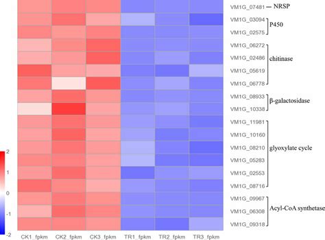 Comparative Analysis Of Degs Related To The Virulence Related Genes In Download Scientific