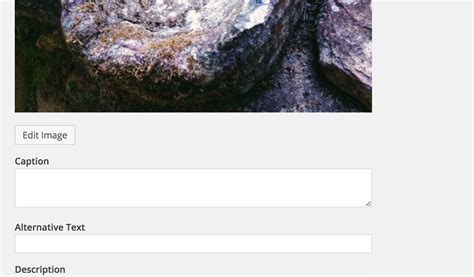 15 Efficient Free Custom Field Wordpress Plugins Graphicsbeam